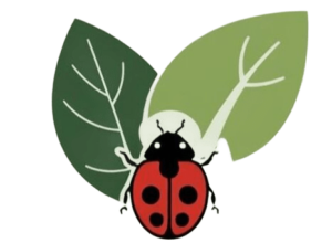 Filo Chordata – Introdução e Características Gerais - Tudo Biologia